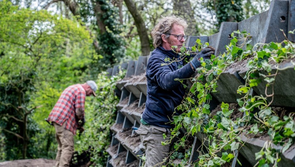 Dorpsakker - De Groene Ruyt